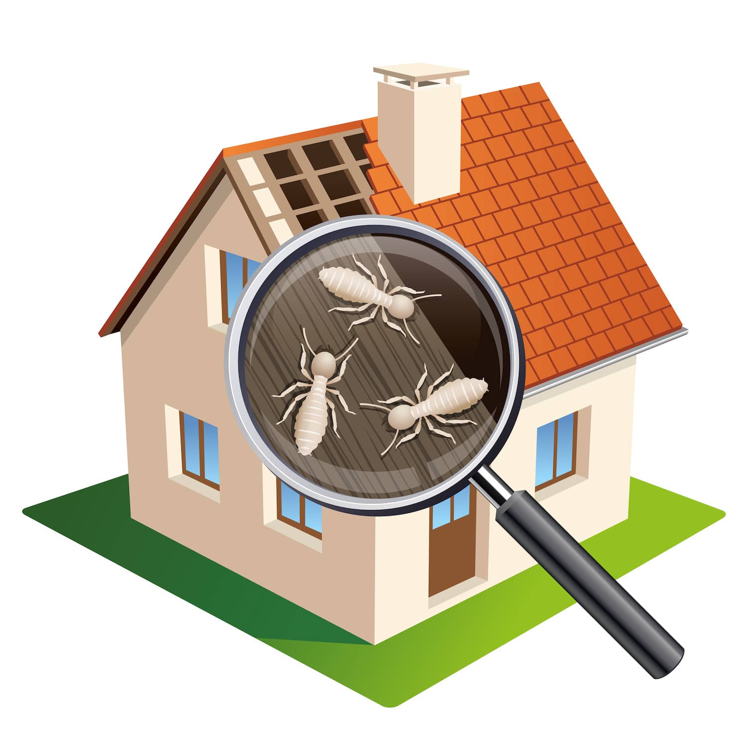 Termite Inspection Atlanta, GA - All South Pest Control