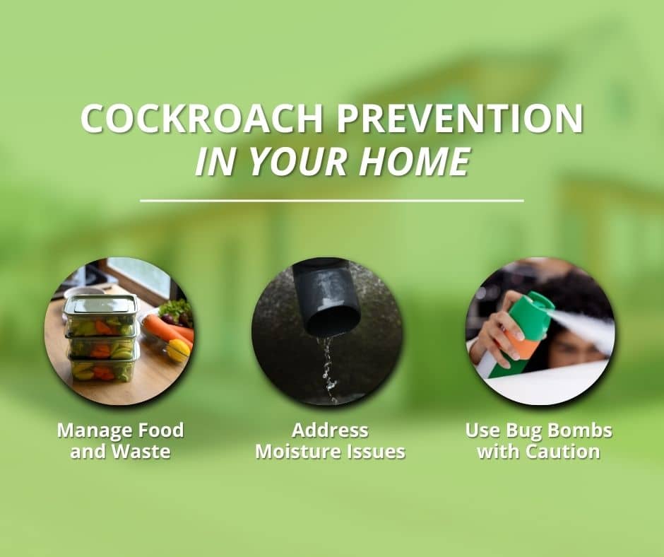 Common Entry Points for Roaches in an Atlanta House - All South Pest ...